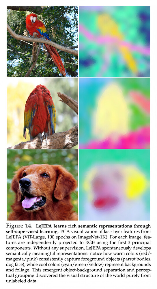 LeJEPA：LeCun团队为JEPA补完理论拼图，实现高效、稳定、无启发式自监督学习 - AI资讯 - 冷月清谈