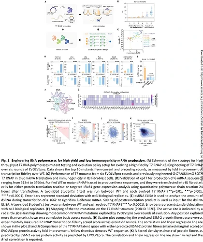 Science：蛋白质语言模型EVOLVEpro加速定向进化 - AI资讯 - 冷月清谈