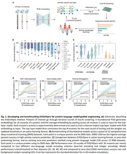 Science：蛋白质语言模型EVOLVEpro加速定向进化 - AI资讯 - 冷月清谈