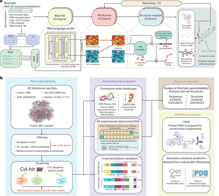 RhoFold+：基于深度学习的RNA 3D结构快速预测方法 - AI资讯 - 冷月清谈