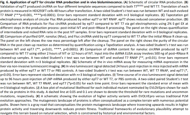 Science：蛋白质语言模型EVOLVEpro加速定向进化 - AI资讯 - 冷月清谈